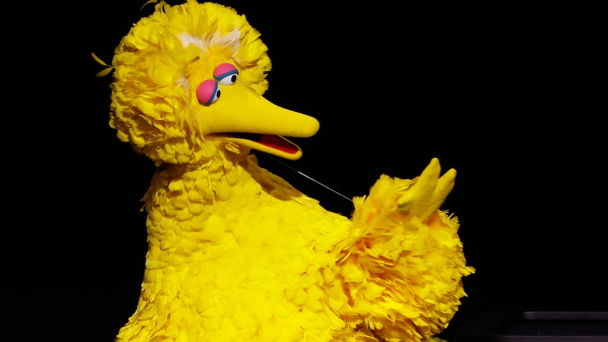 Big Bird And Despair In The Big Apple | The Heidelblog
